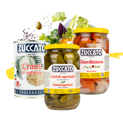 Home - Zuccato
