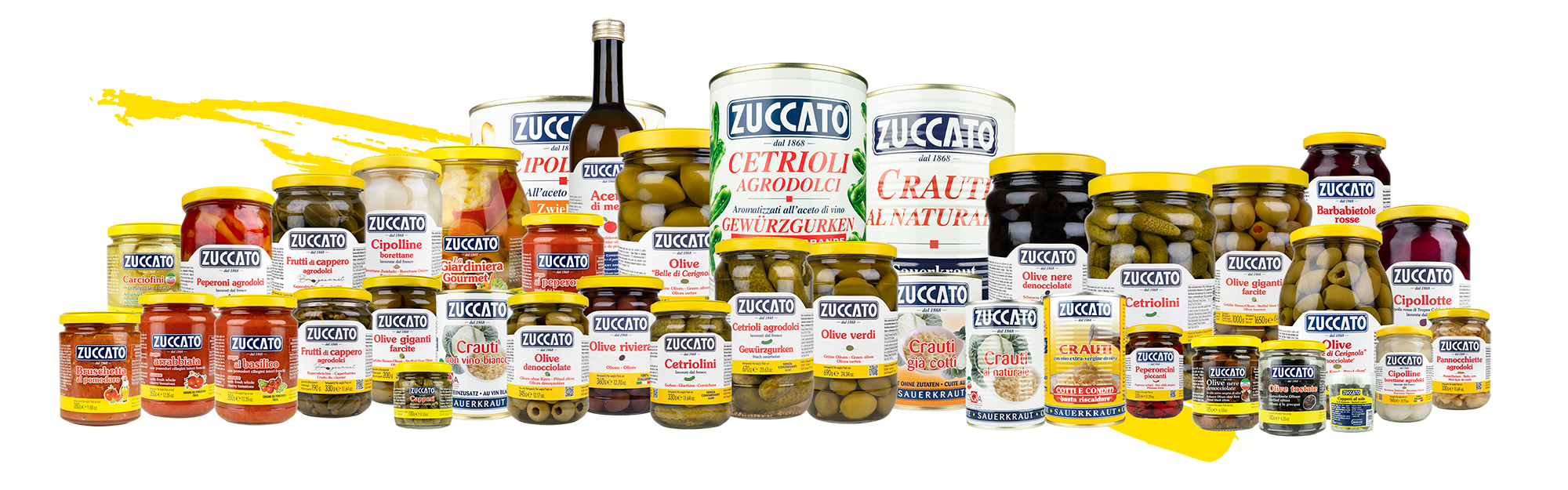 Home - Zuccato